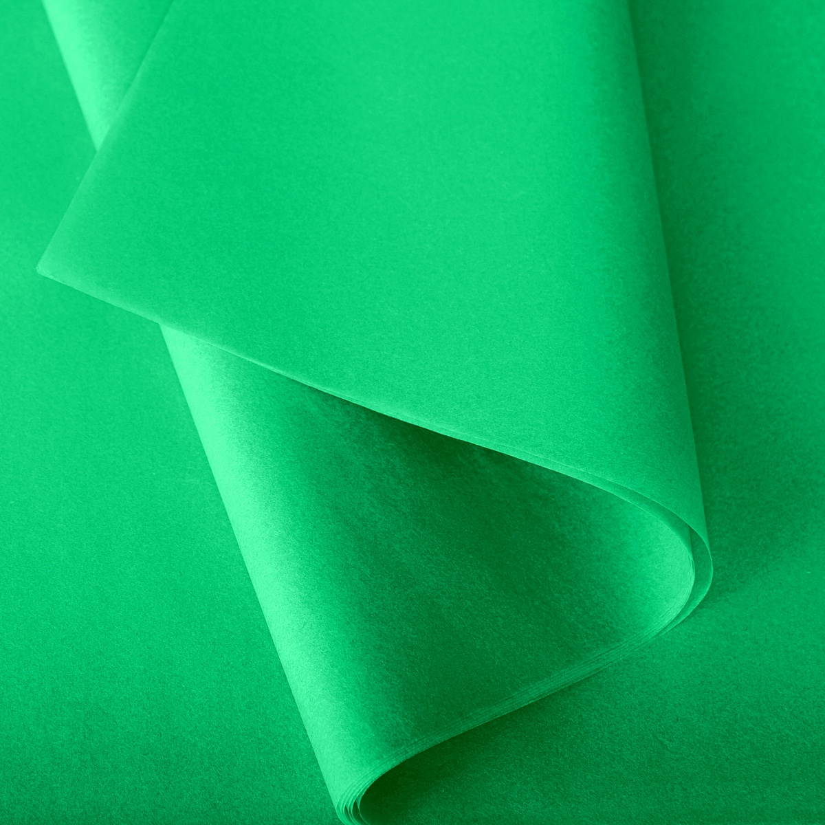 Papier mousseline turquoise par 240F | Davoise